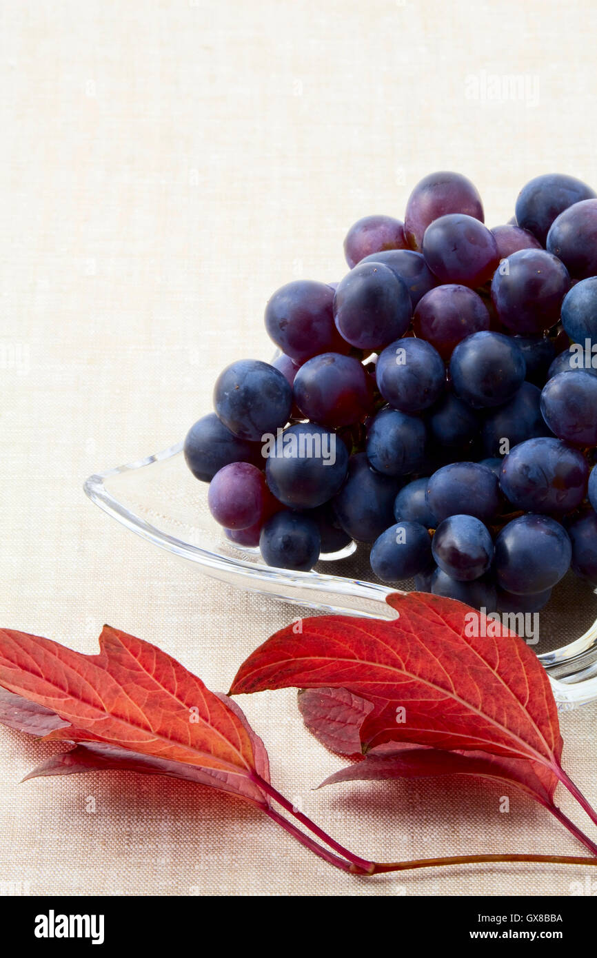 Grapes bunch vase hi-res stock photography and images - Alamy