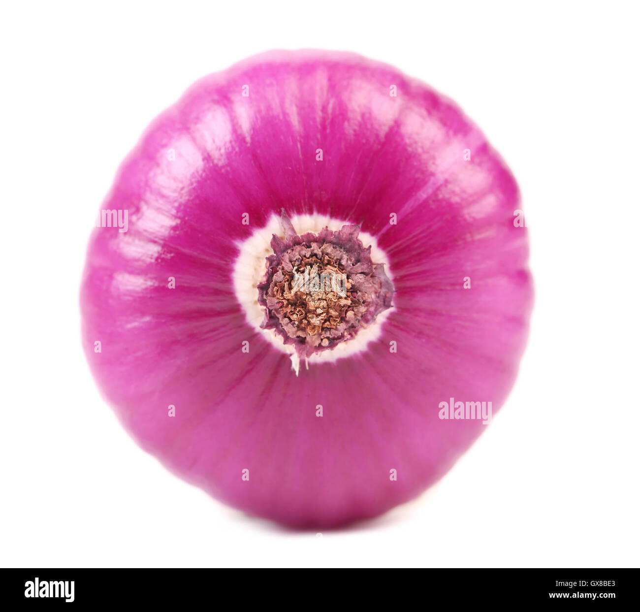 Tail of fresh red onion Stock Photo - Alamy