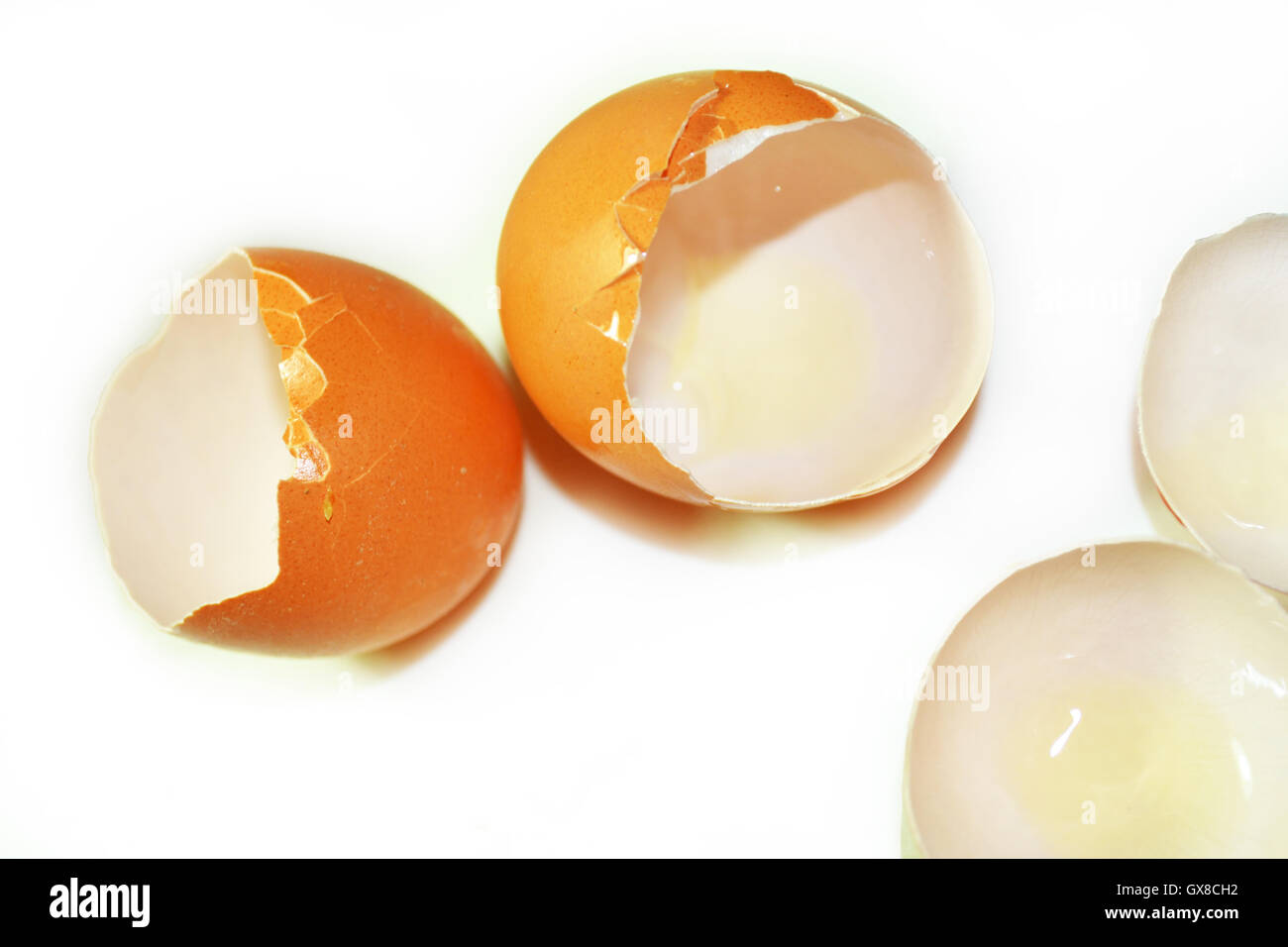 Eggshell hi-res stock photography and images - Alamy