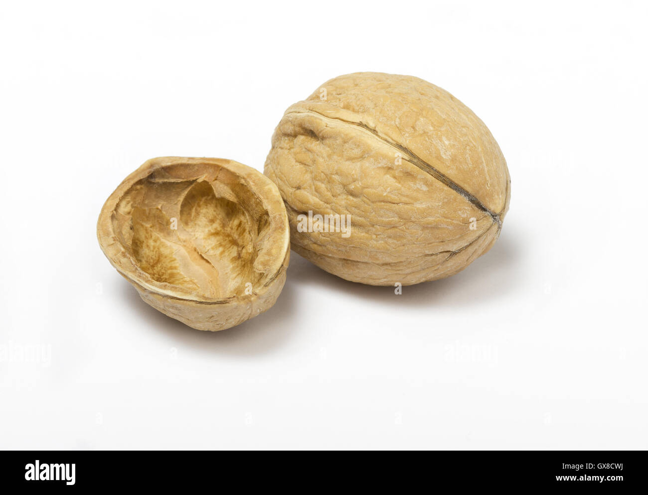 Walnut shell hi-res stock photography and images - Alamy