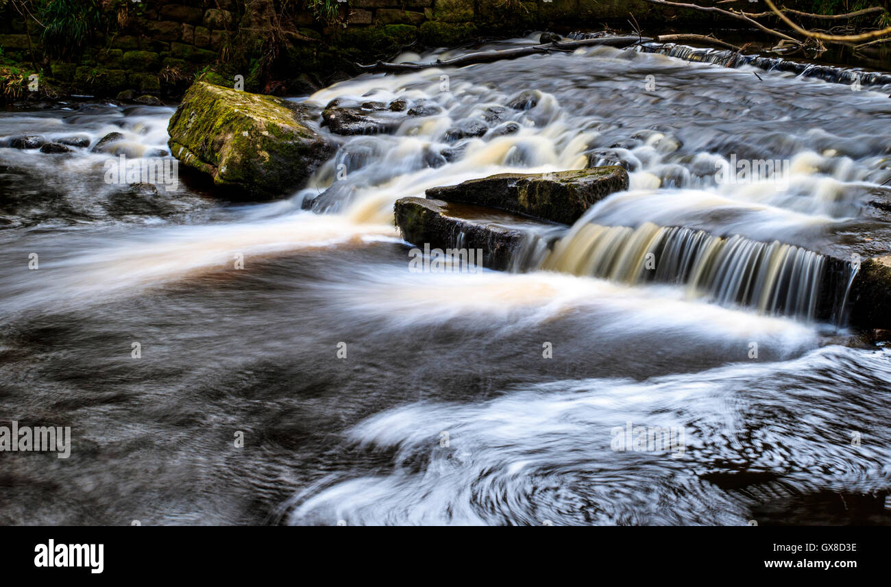 A Stream in a forest with long exposure Stock Photo - Alamy
