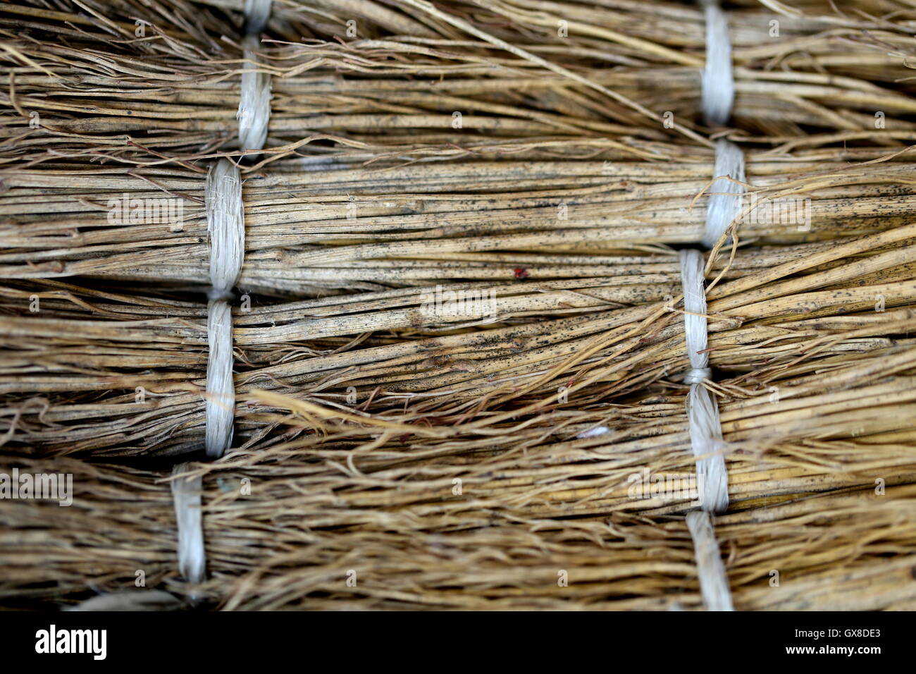 Close up detail of a broom texture Stock Photo - Alamy