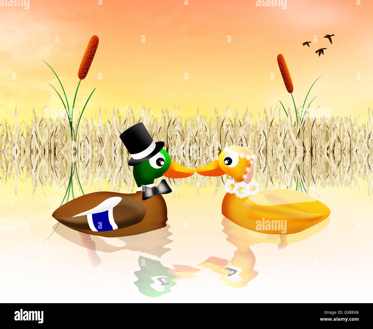 ducks in love Stock Photo - Alamy