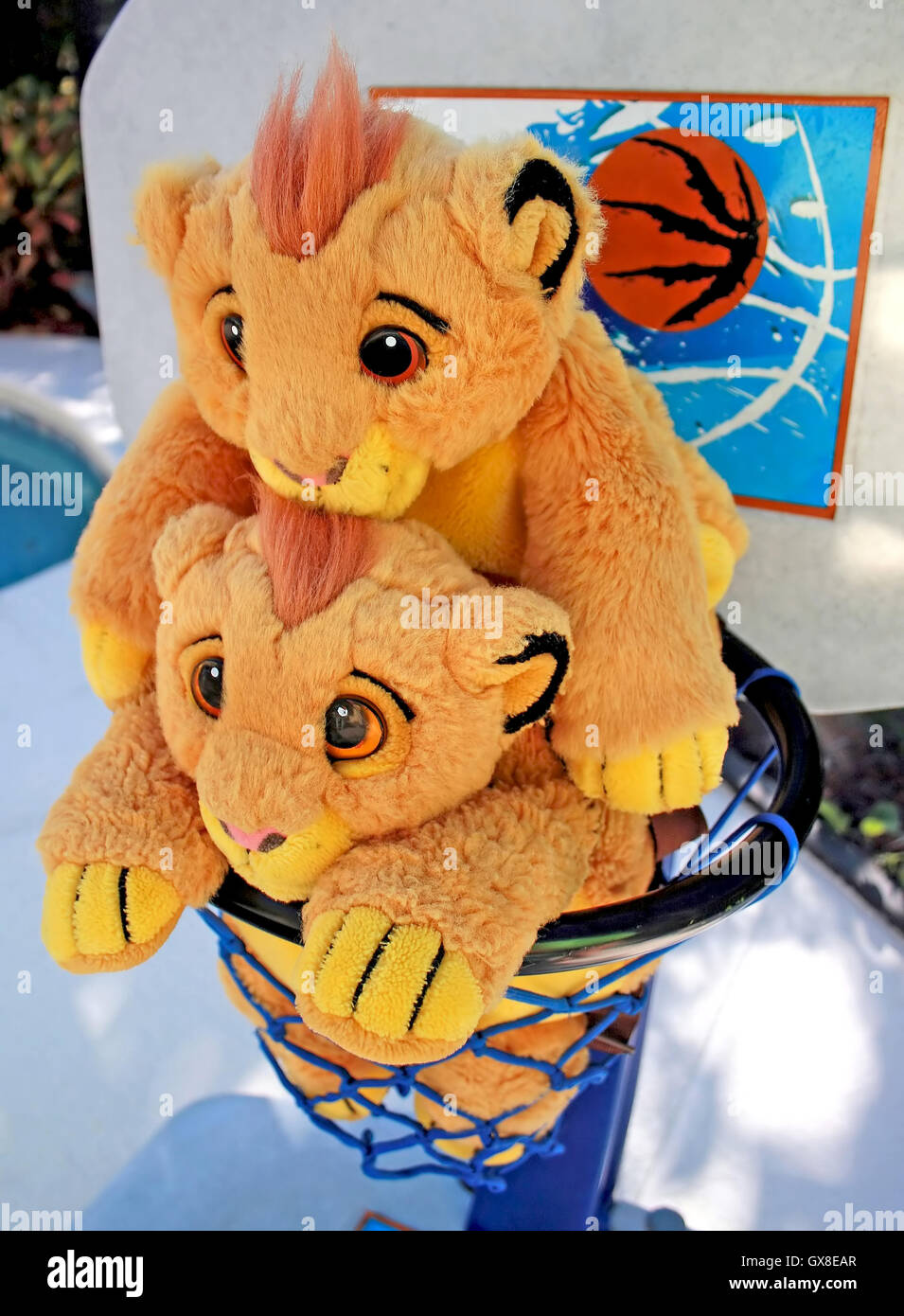 Lion basketball hi-res stock photography and images - Alamy