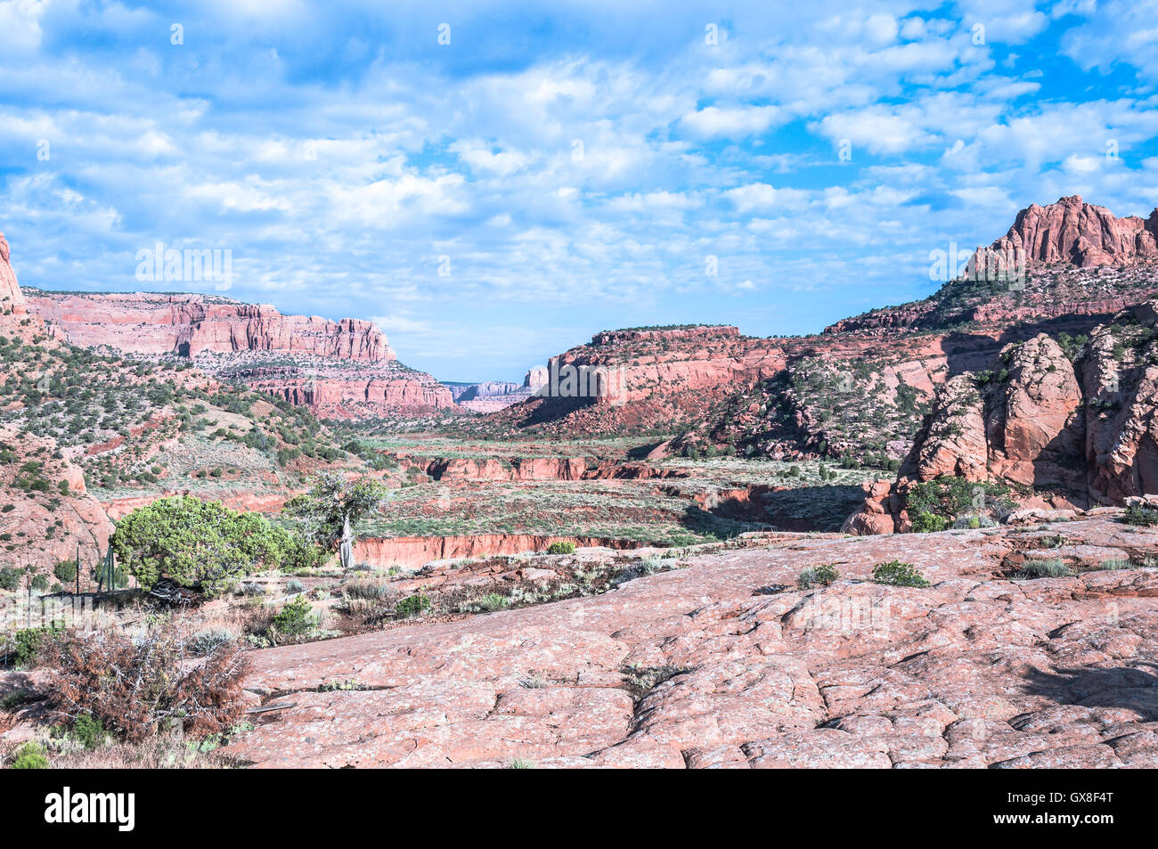 Canyon deep hi-res stock photography and images - Alamy