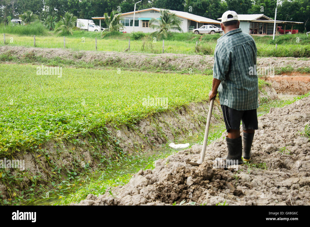 Old man digging soil at ground for planting tree and growing vegetable ...