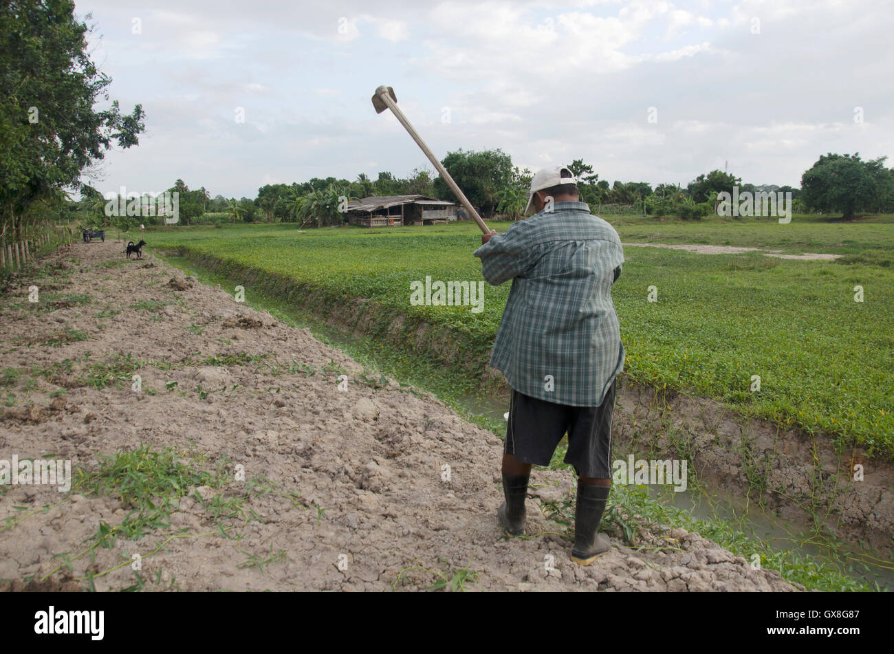 Old man digging ground hi-res stock photography and images - Alamy