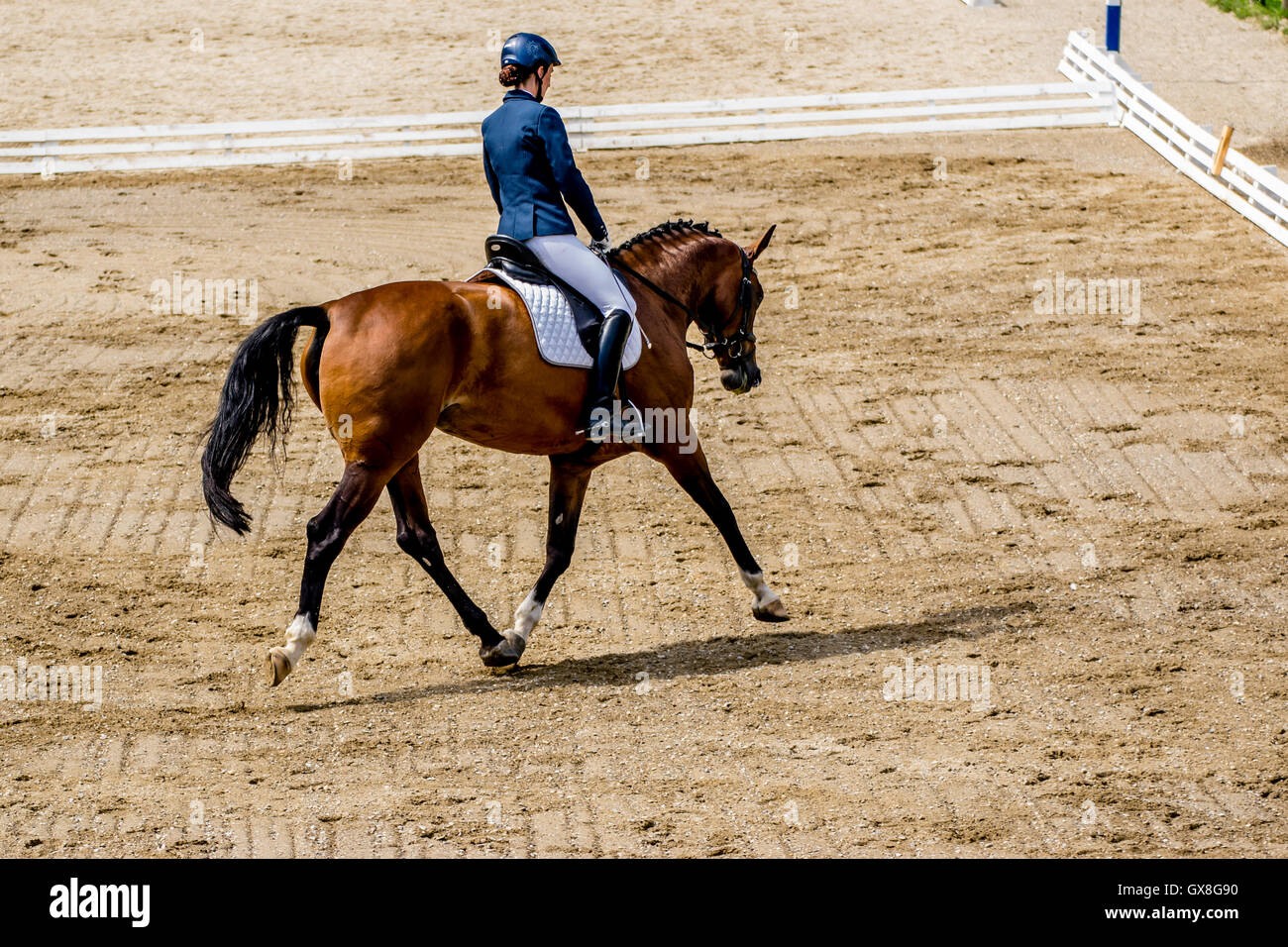 Equestrian dressage hi-res stock photography and images - Alamy