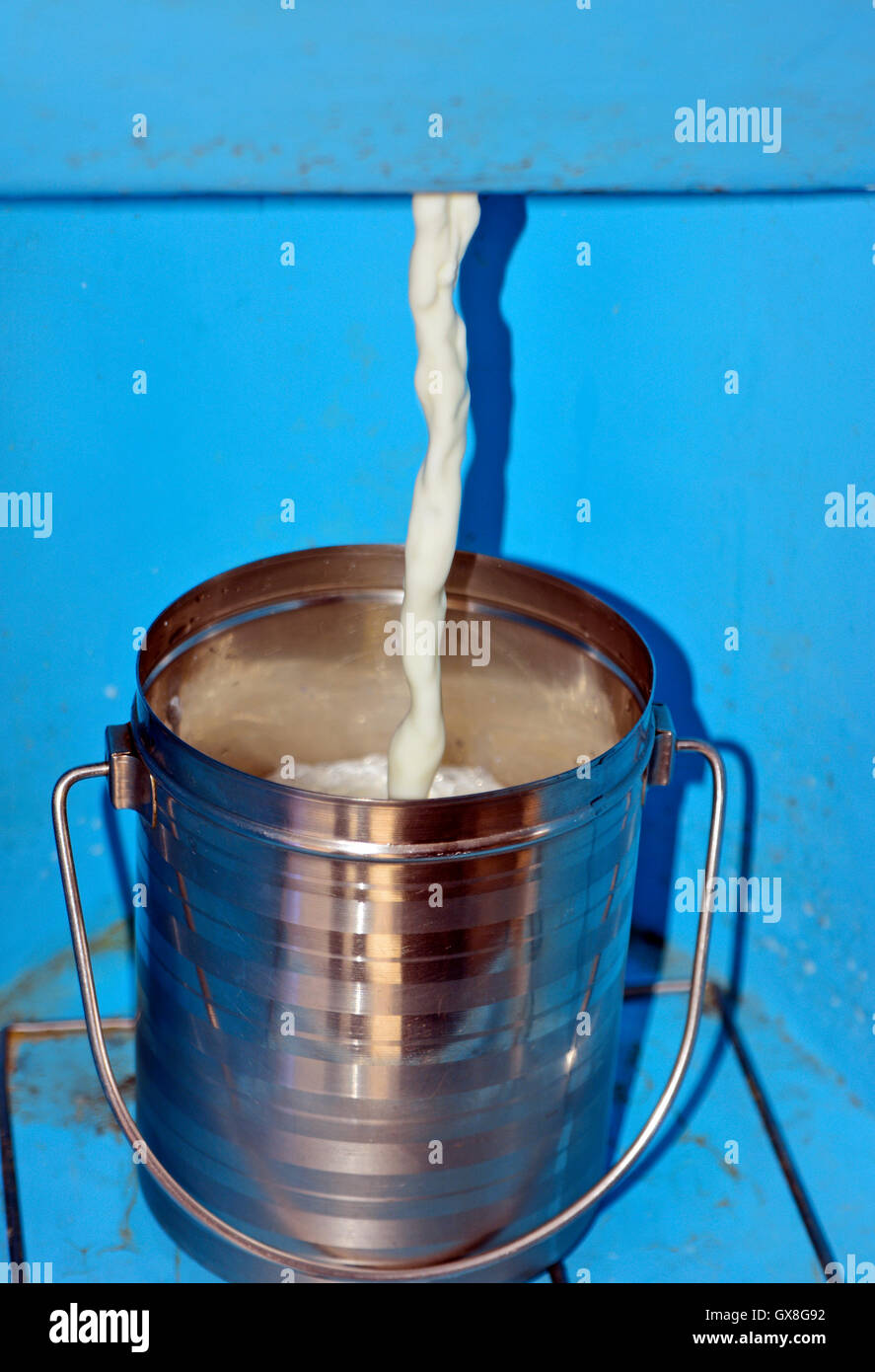 Automated milk plant Pouring milk into the bucket Stock Photo - Alamy
