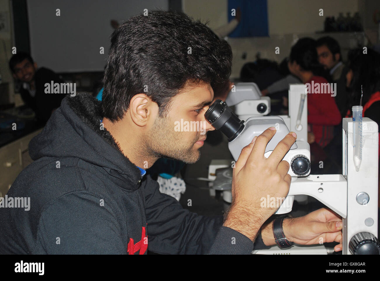 Students observing in the Laboratory Stock Photo - Alamy