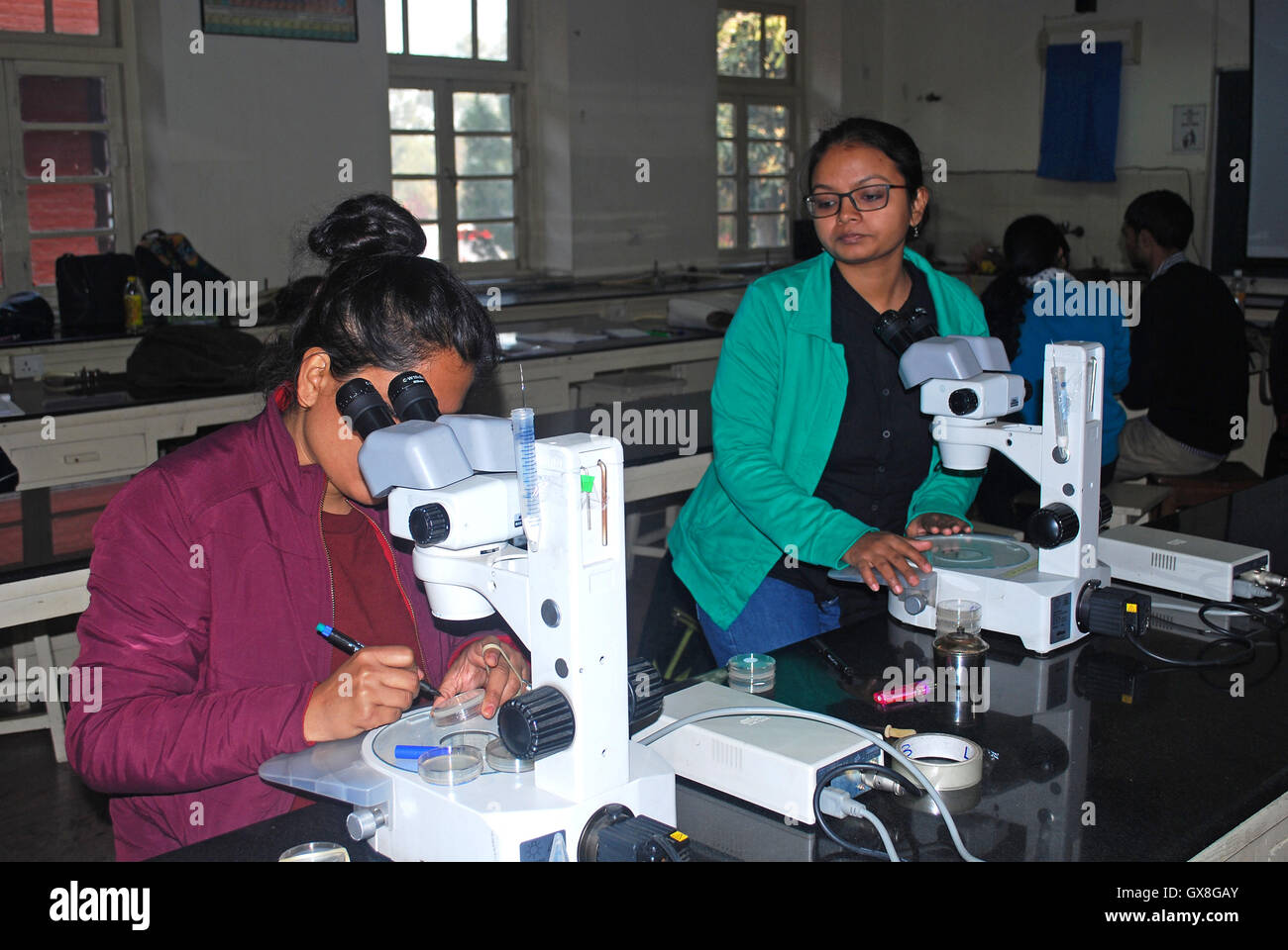 Students observing in the Laboratory Stock Photo - Alamy