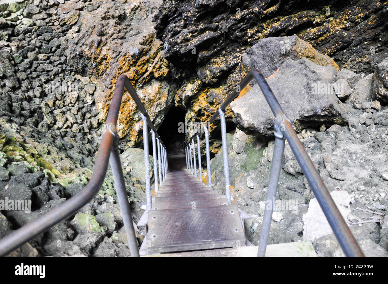 Narrow stair entrance down through the doline at the Lake Cave with ...