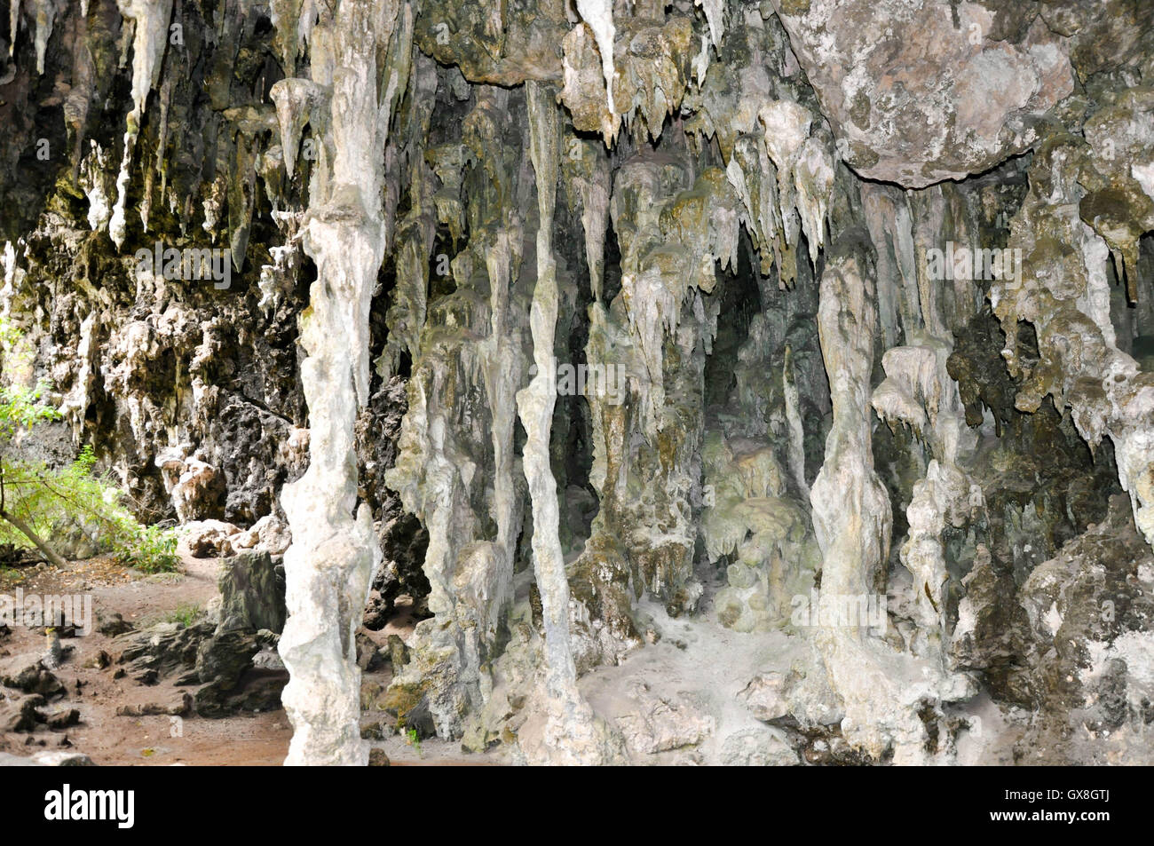 Unique eroded limestone cliff formations outside the Lake Cave entrance ...