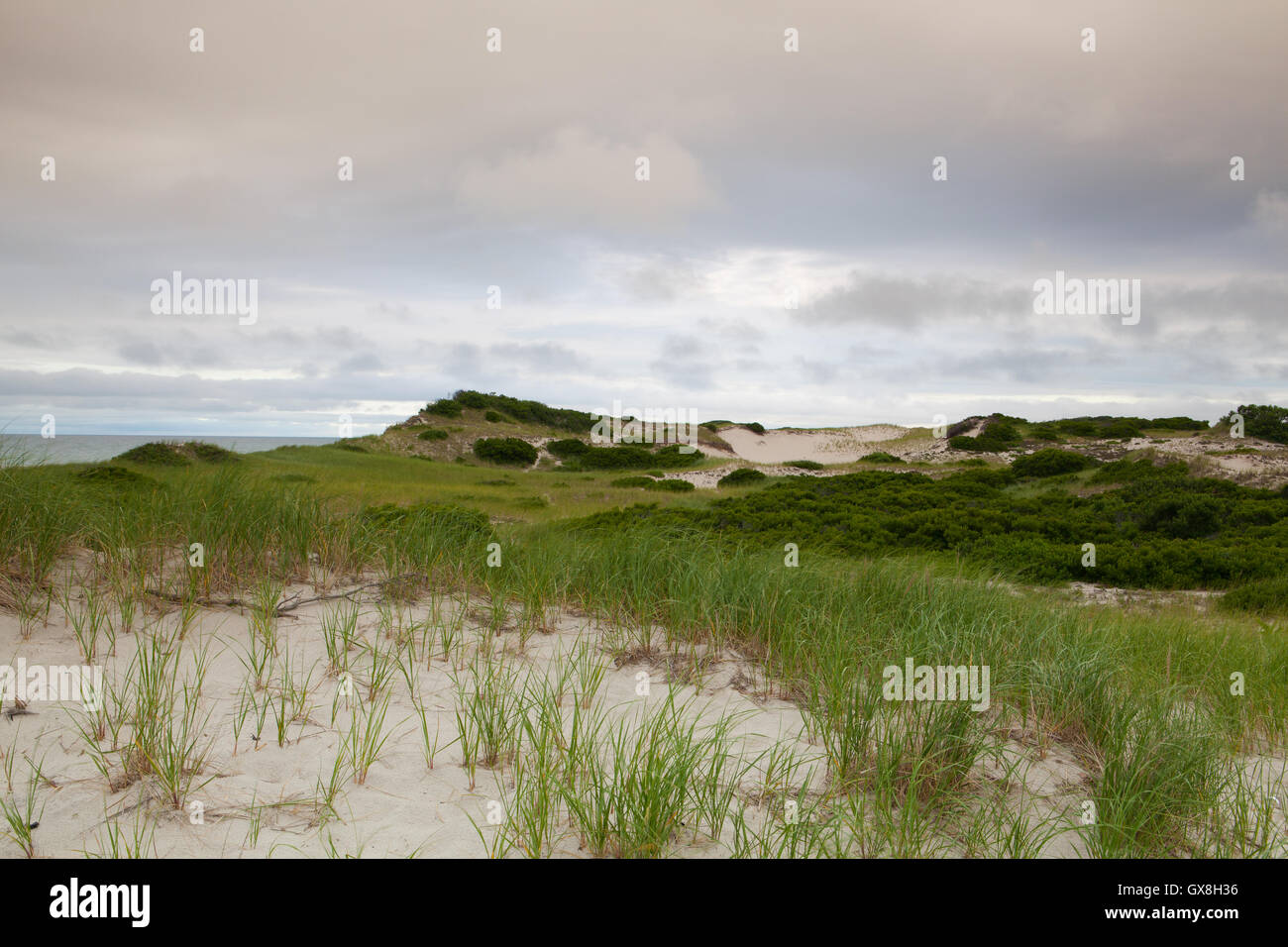 Erosion cape cod national seashore hi-res stock photography and images ...