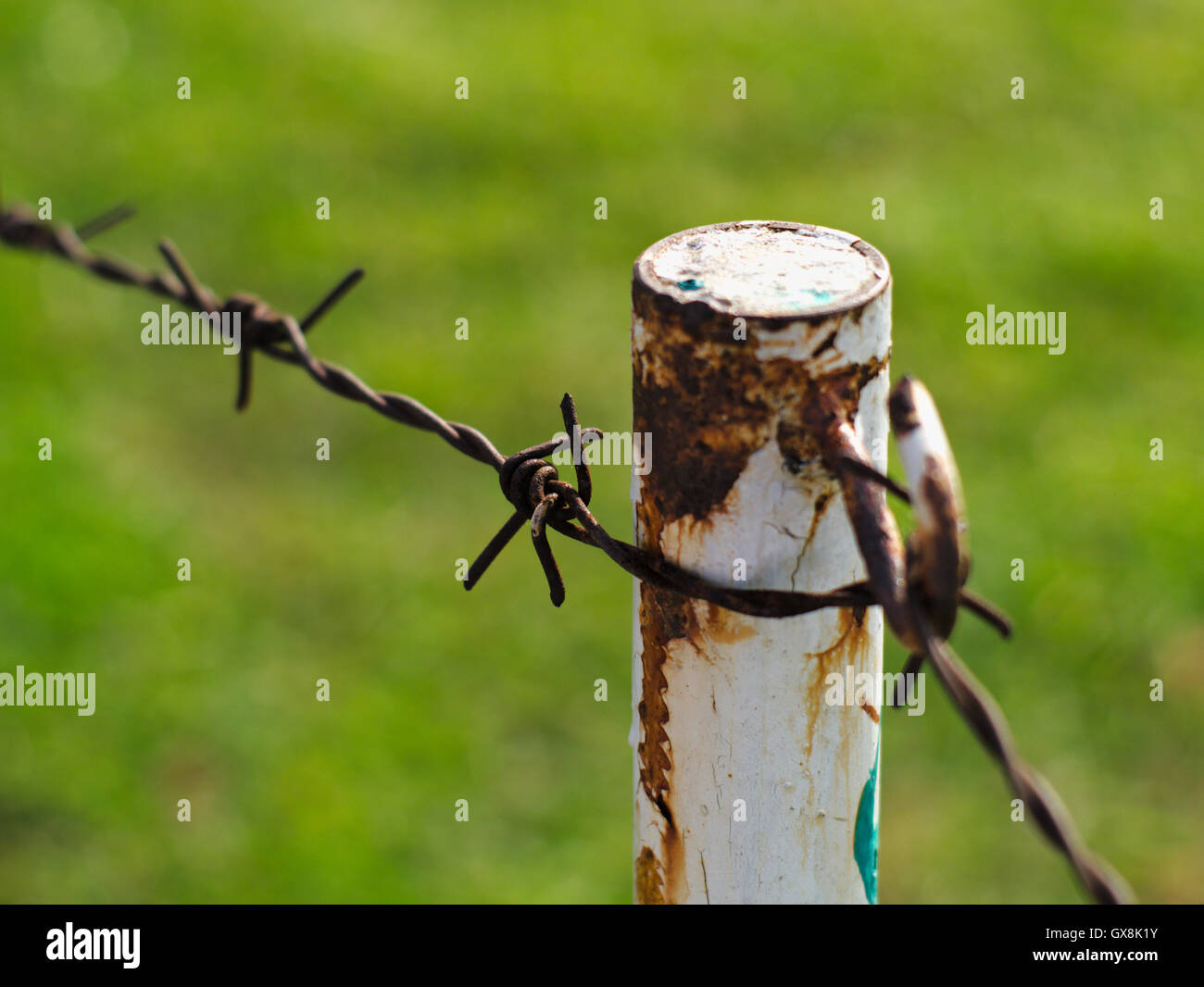 rusty metal barbed wires on metal pole Stock Photo - Alamy