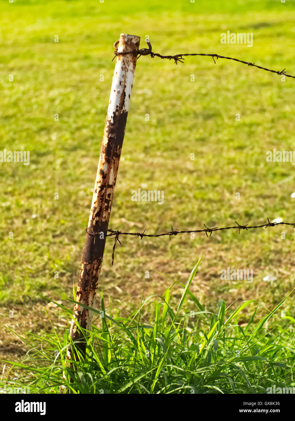 Sharp metal fence hi-res stock photography and images - Alamy