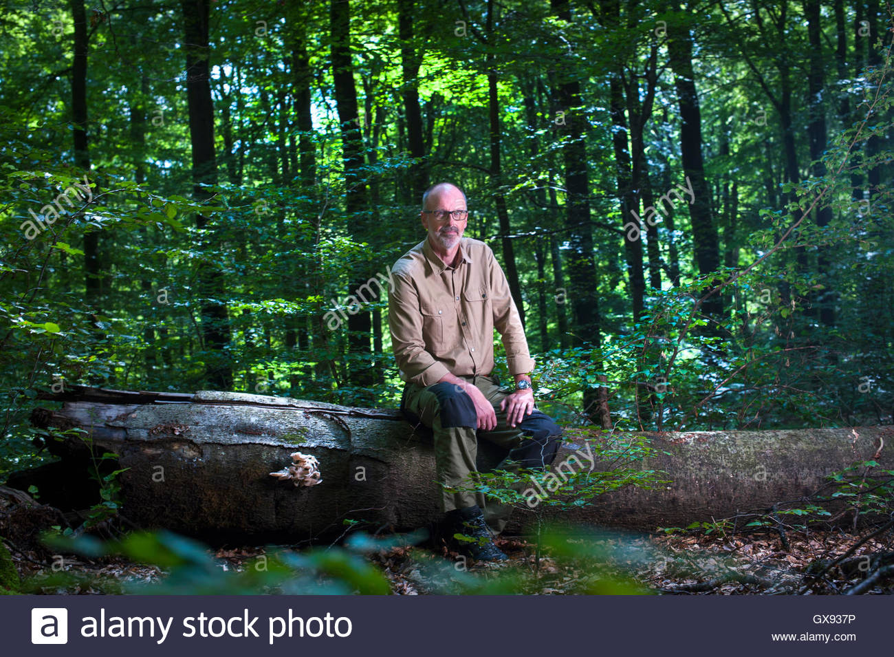 Peter Wohlleben High Resolution Stock Photography and Images - Alamy
