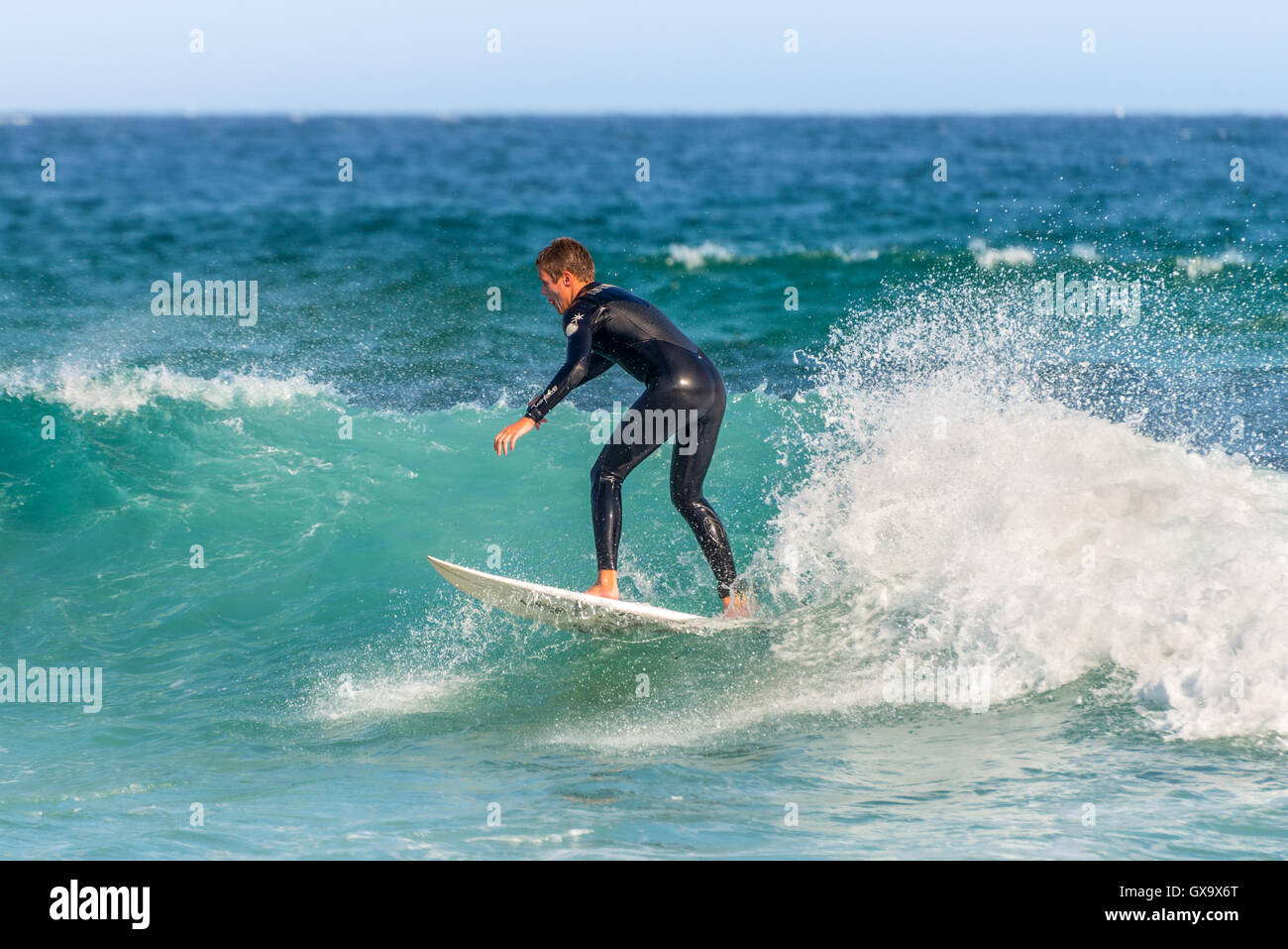 A Australian surfer catching a wave, Bondi Beach in the Eastern Suburbs ...
