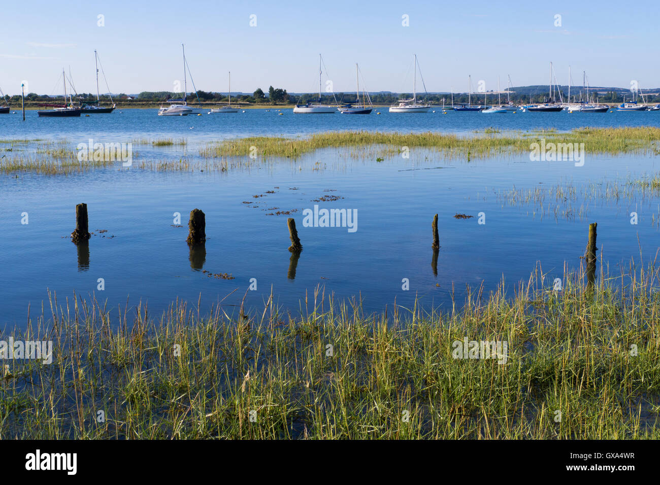 Bosham harbour hi-res stock photography and images - Alamy