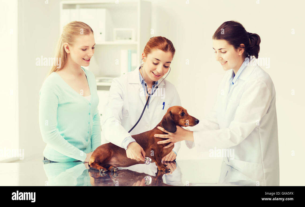 happy woman with dog and doctor at vet clinic Stock Photo - Alamy