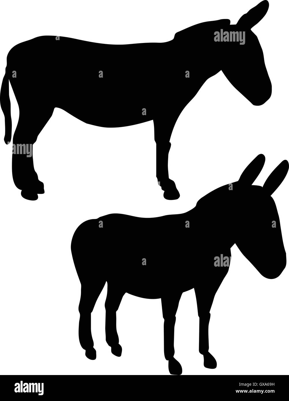 EPS 10 vector illustration of donkey on white background Stock Vector ...