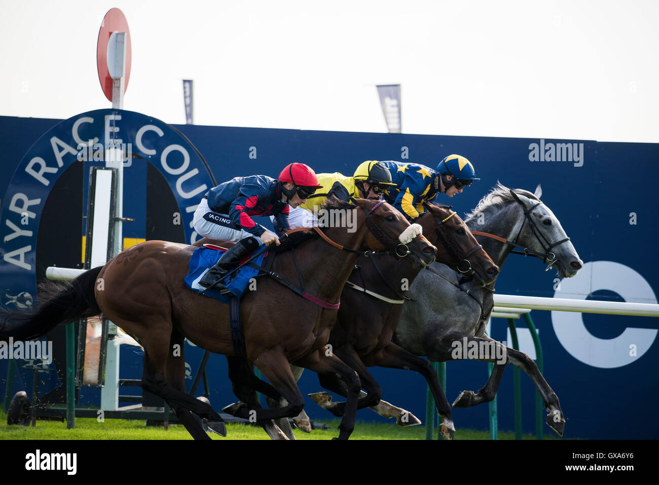 Miss Scotland Lucy Kerr with Old Firm players Jan Vennegoor of ...