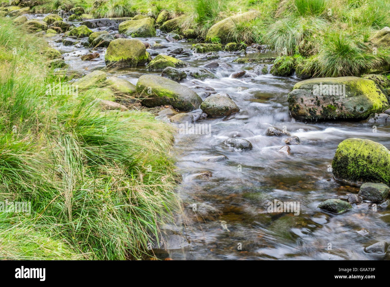 Streams And Rocks