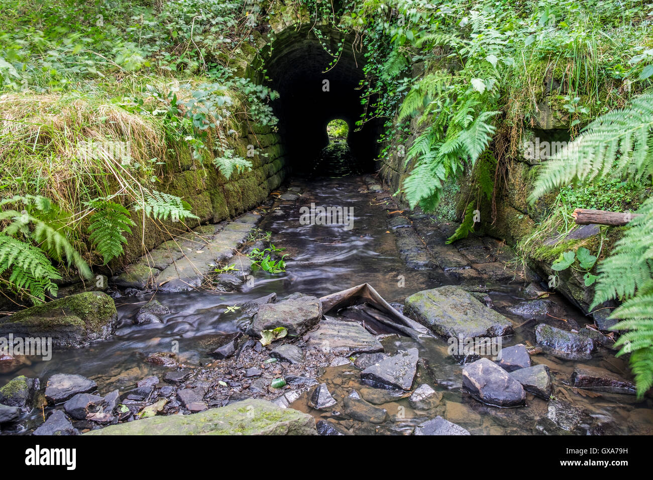 Set the green tunnel hi-res stock photography and images - Alamy