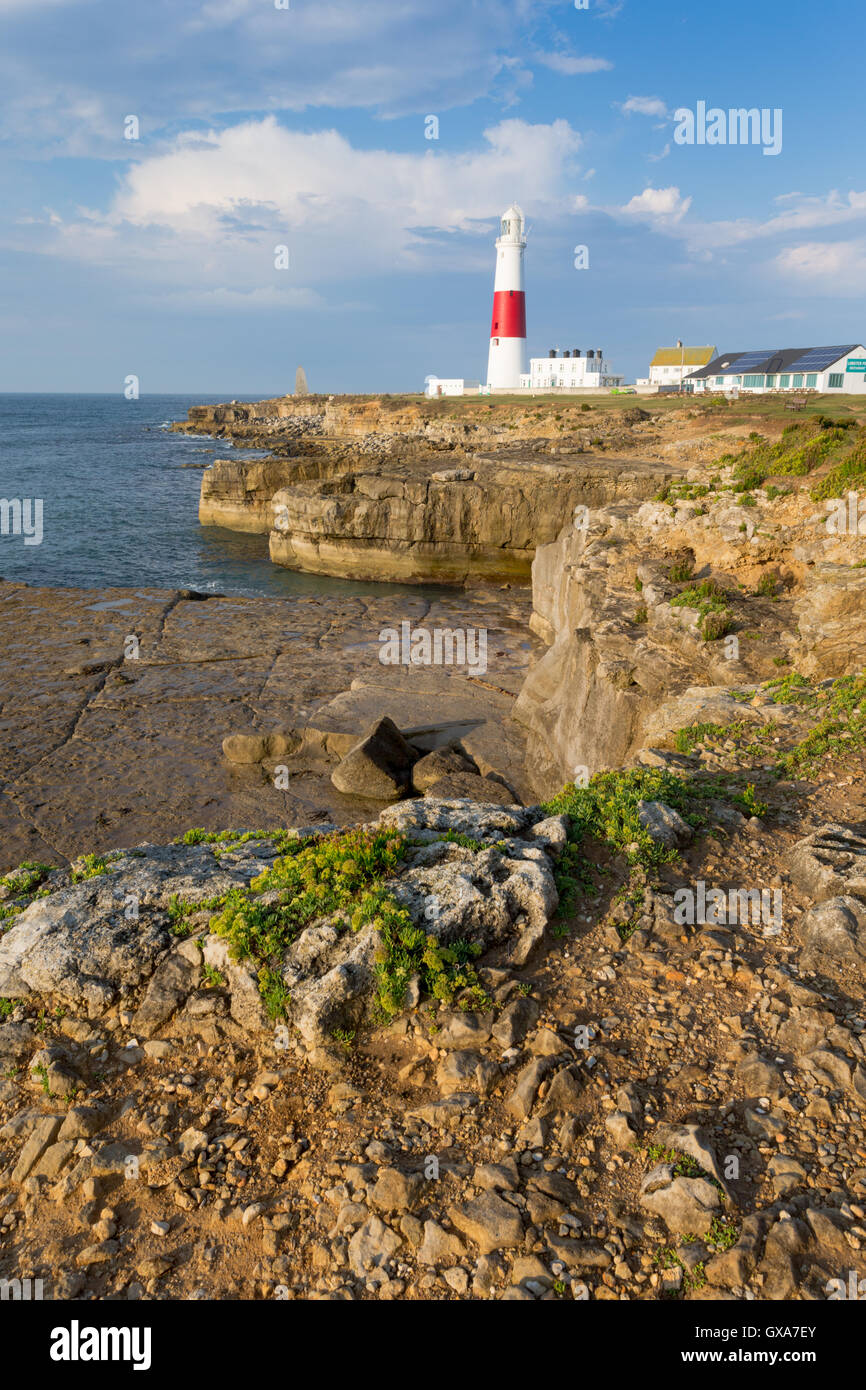 Portland Bill, Dorset, UK with the lighthouse visible in the background ...