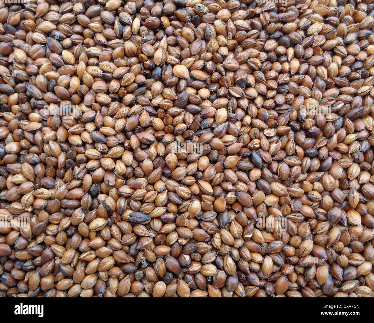 Roasted Barley Tea High Resolution Stock Photography and Images - Alamy