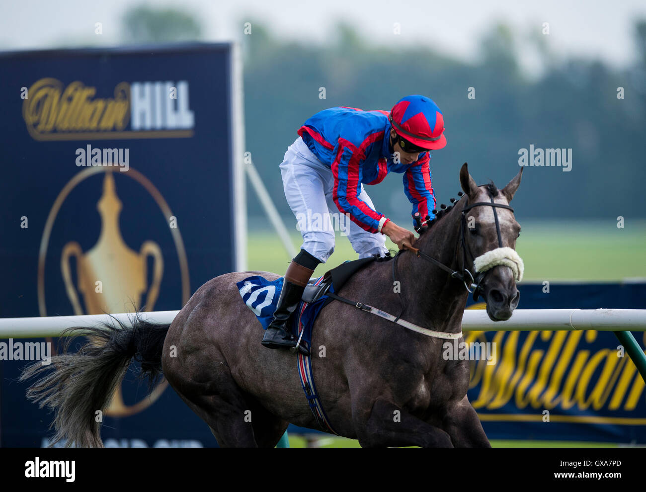 Sporty Yankee ridden by Jockey Jordan Vaughan wins the Scott Bennett ...