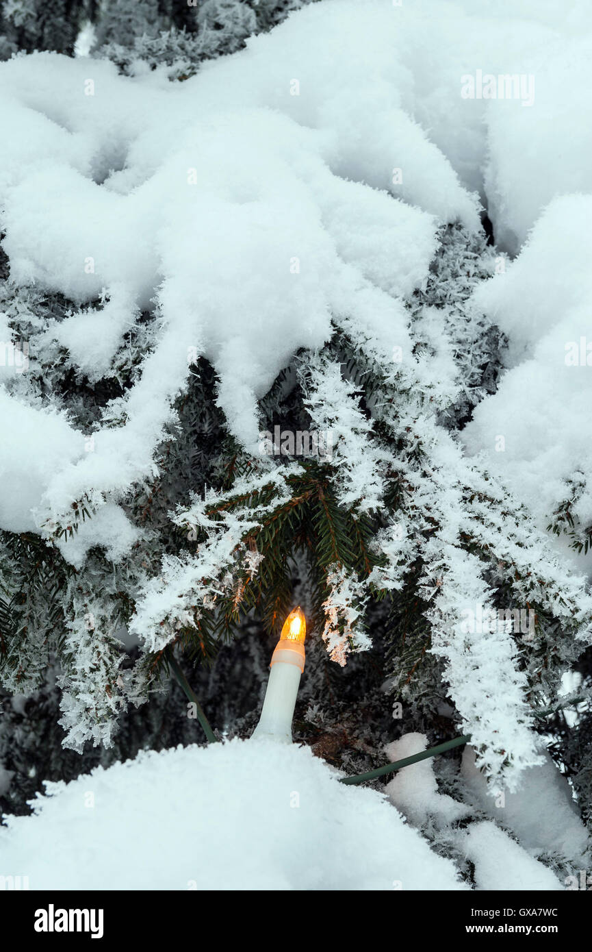 Lights in outdoor Christmas tree, Sweden Stock Photo - Alamy