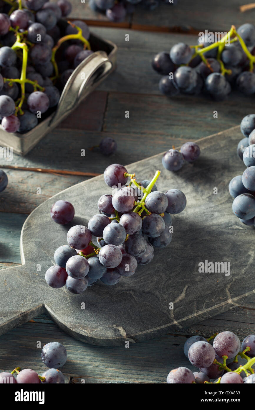 Raw Organic Purple Concord Grapes Ready for Cooking Stock Photo - Alamy