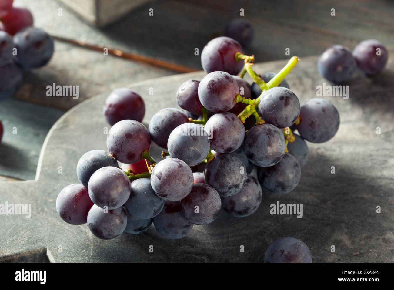 Concord grape plant hi-res stock photography and images - Alamy