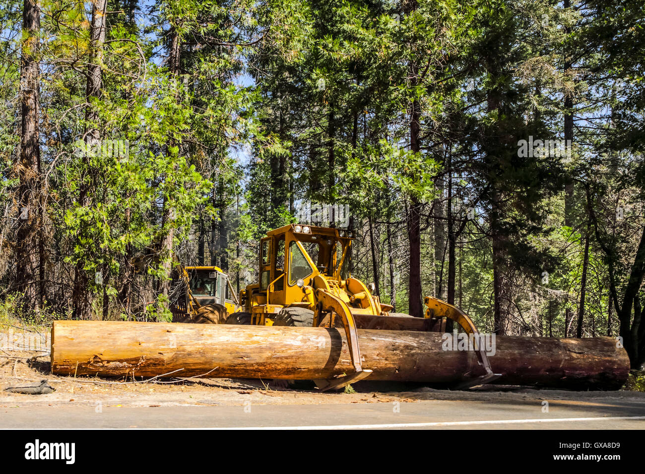 Logging machine hi-res stock photography and images - Alamy