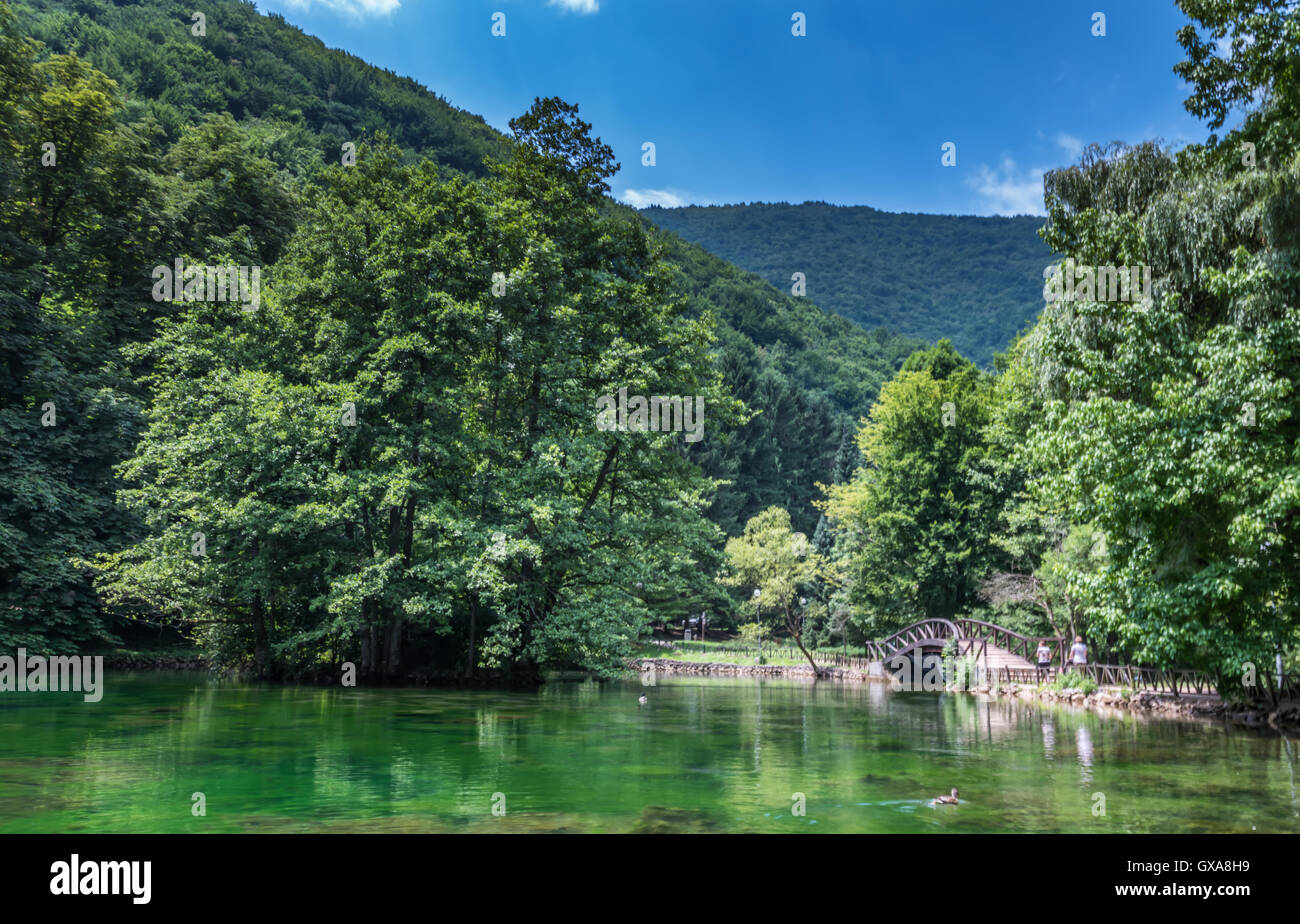 Green leaf oasis hi-res stock photography and images - Alamy