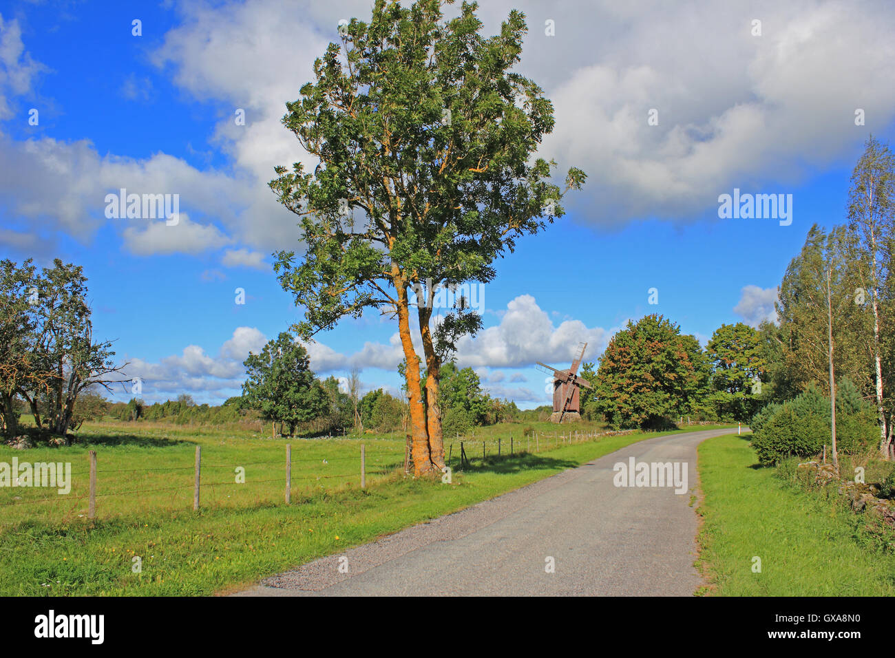 Estonia landscape hi-res stock photography and images - Alamy