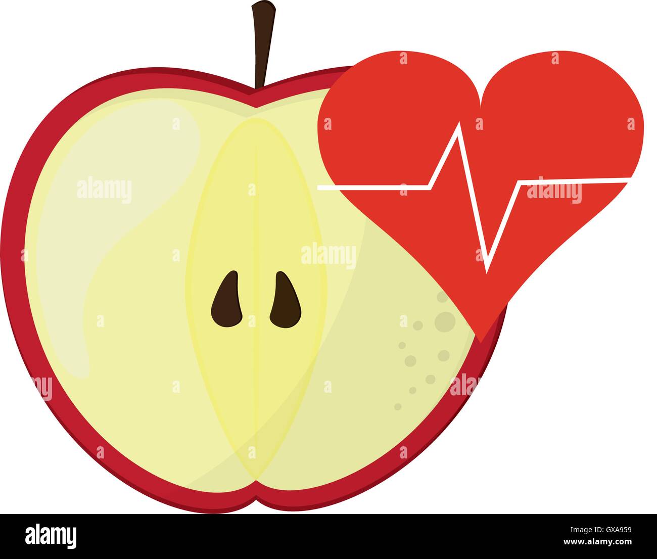 apple and heart cardiogram icon Stock Vector Image & Art - Alamy