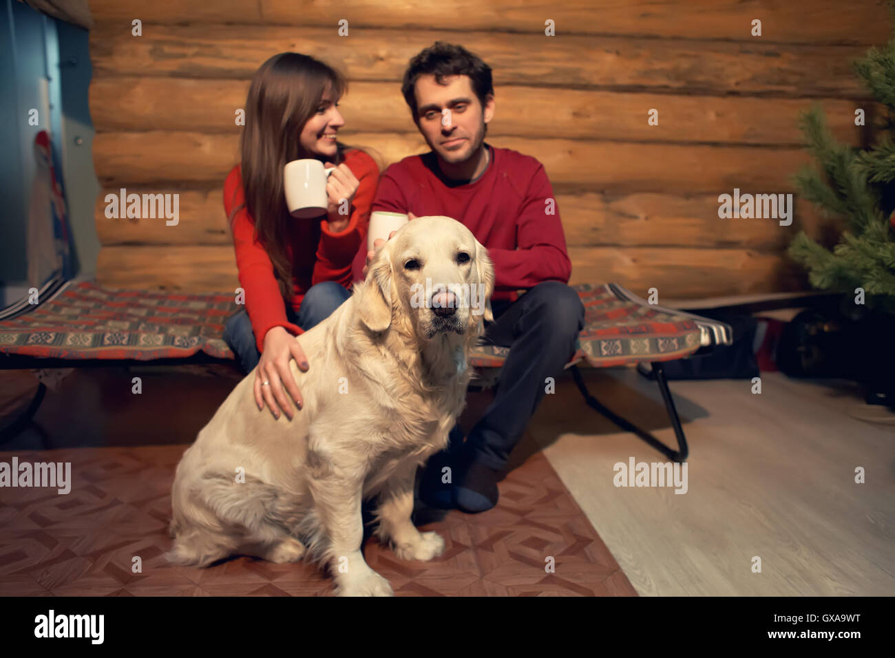 Dog with its owners at home Stock Photo - Alamy