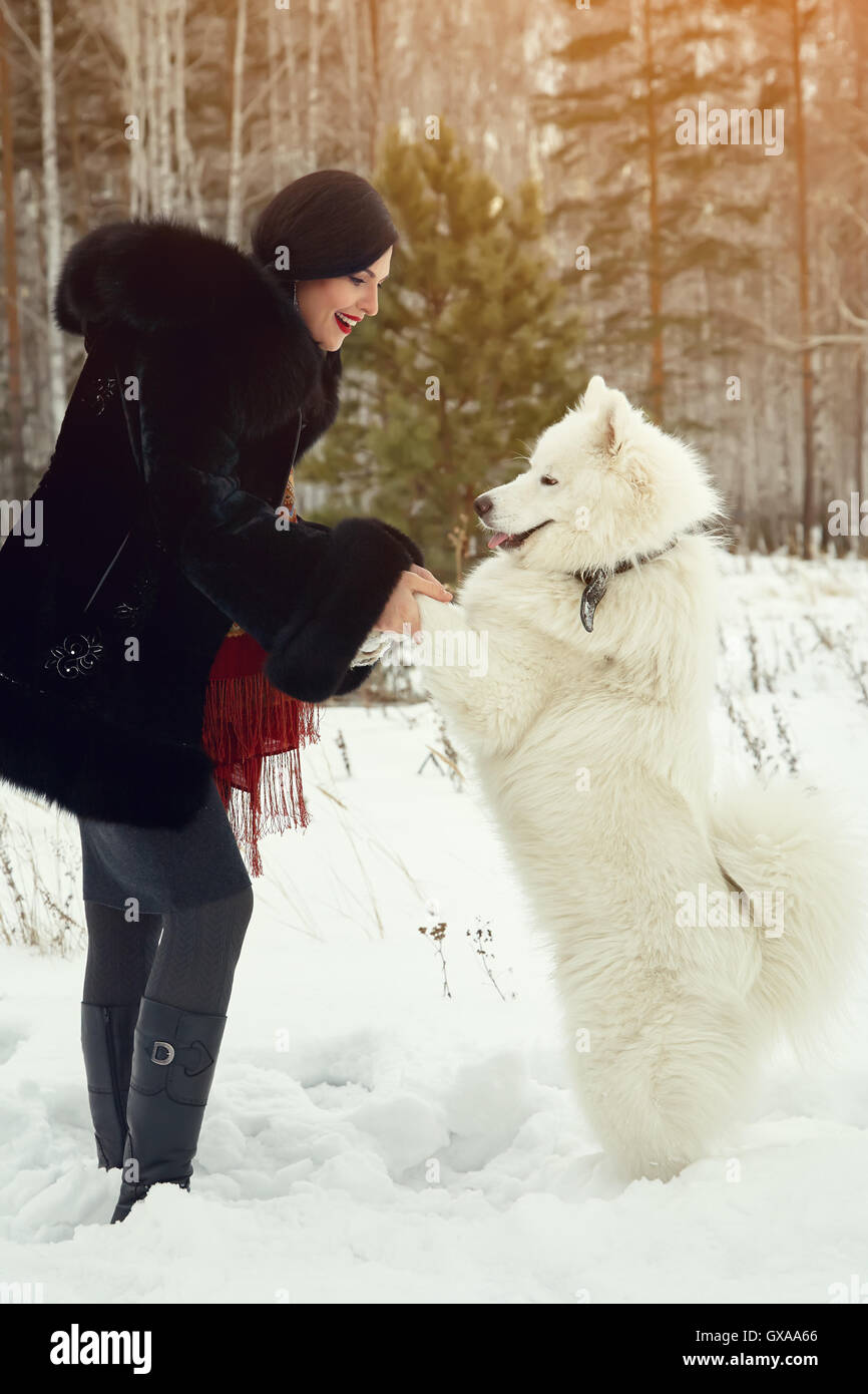 Samoyed husky with owner Stock Photo - Alamy