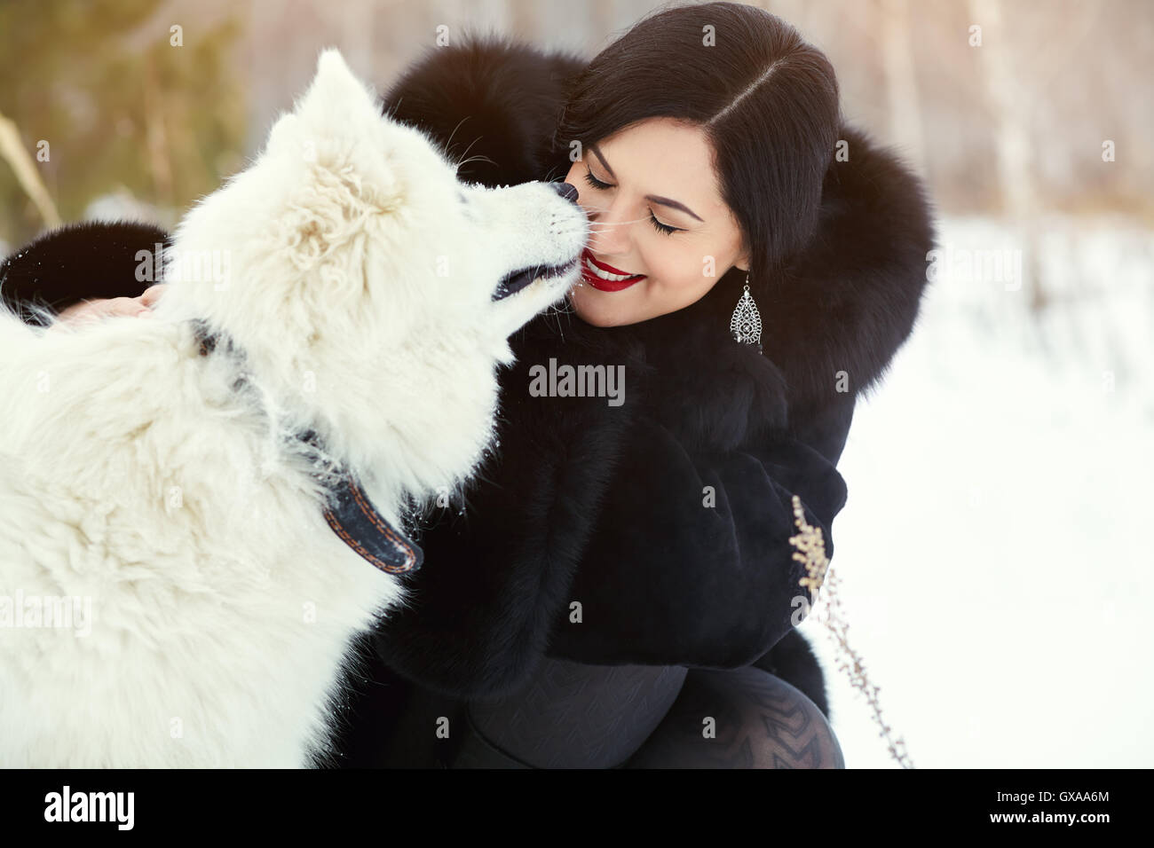 Samoyed husky with owner Stock Photo - Alamy