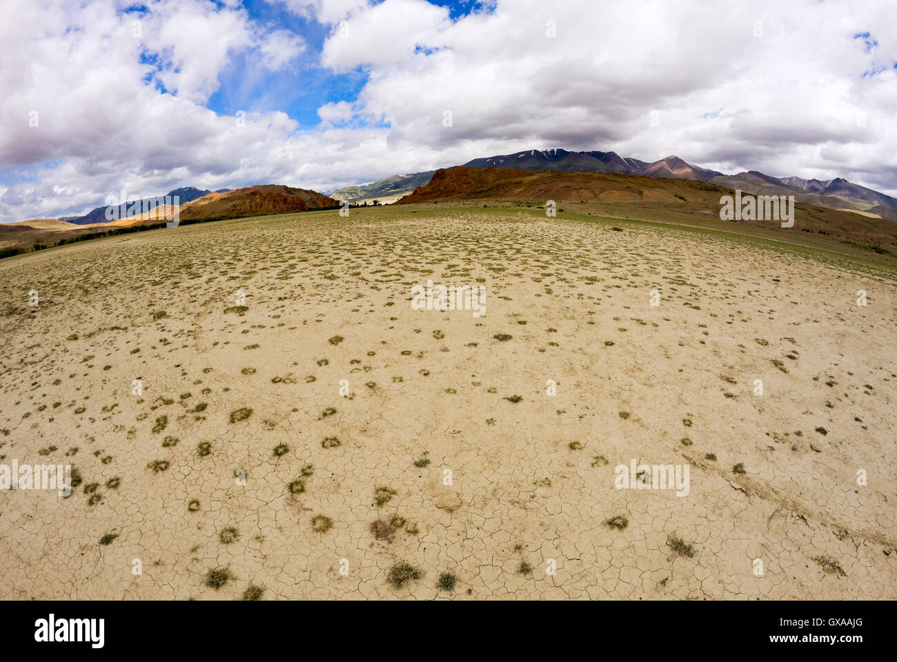 The Altai landscape with a steppe or semi desert, mountains at the ...
