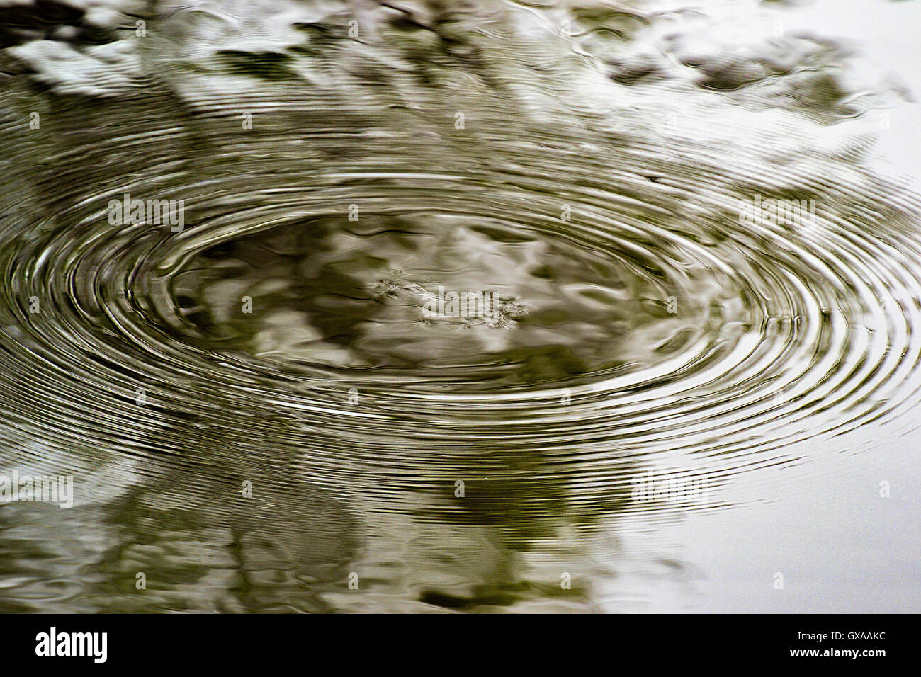 the ripples in the lake Stock Photo - Alamy