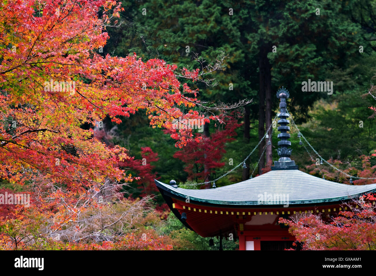 Japan, Honshu island, Kansai, Kyoto, at Daigo ji temple Stock Photo - Alamy