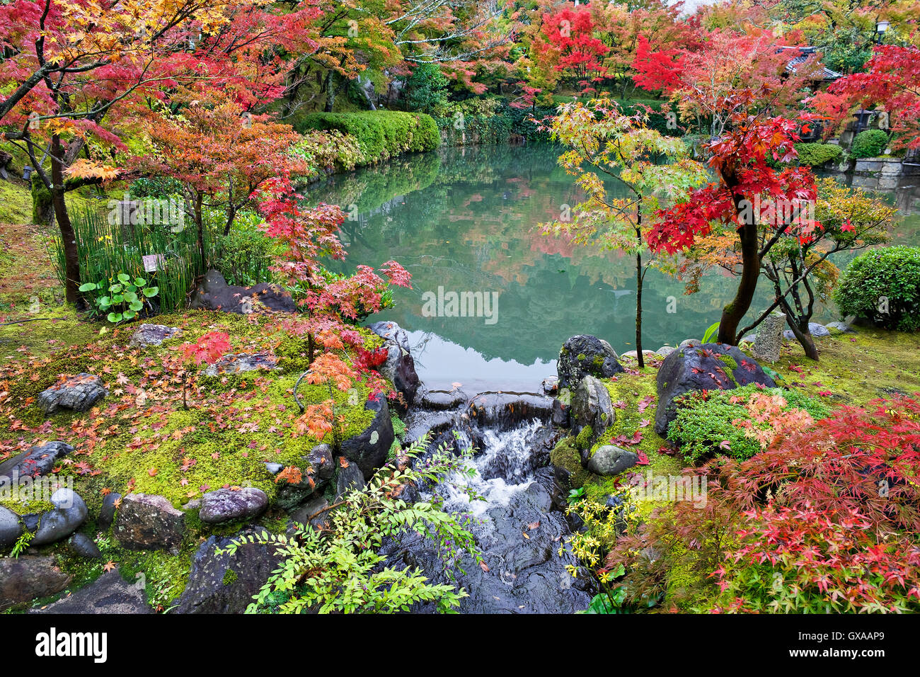 Japan, Honshu island, Kansai, Kyoto, Eikando temple gardens Stock Photo ...