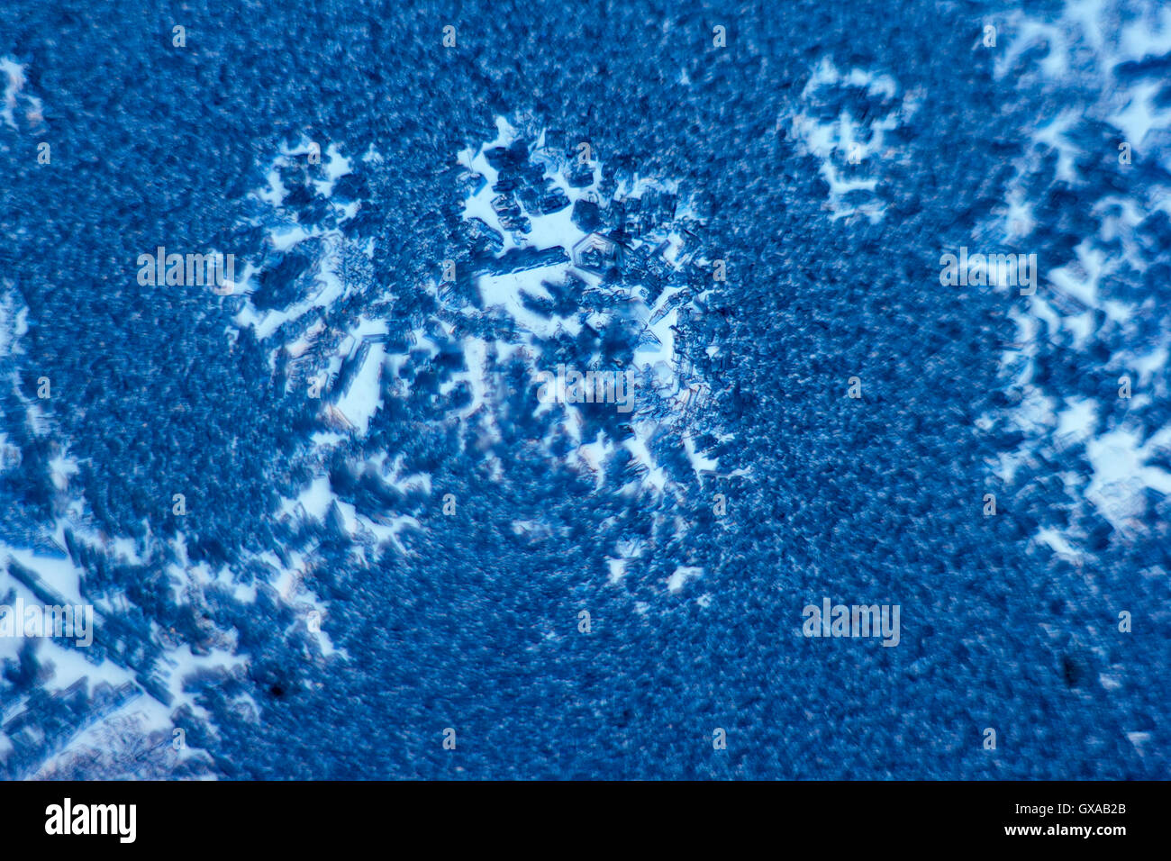 beautiful pattern of frost Stock Photo - Alamy