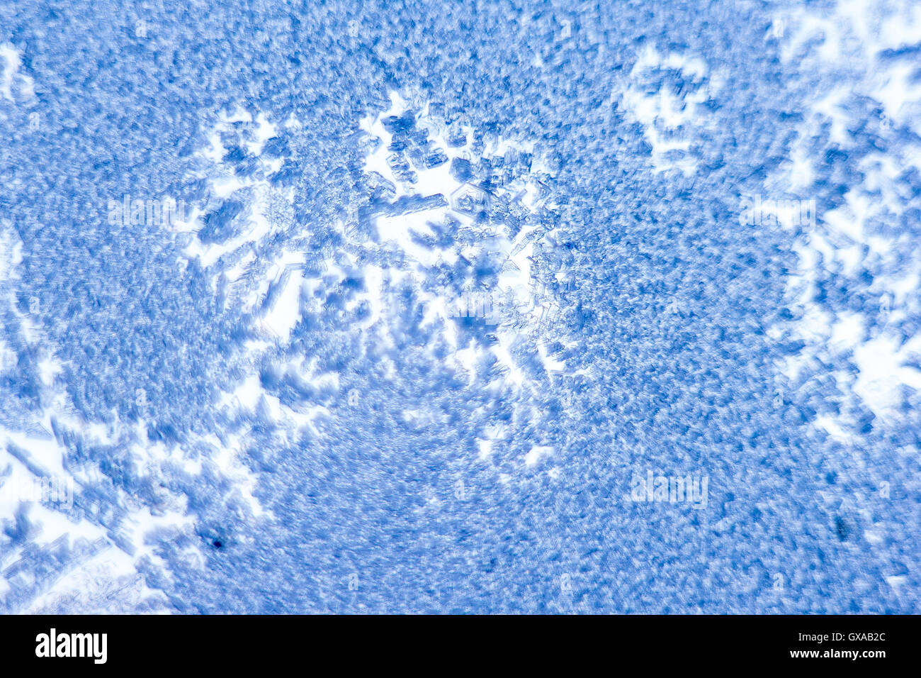 beautiful pattern of frost Stock Photo - Alamy