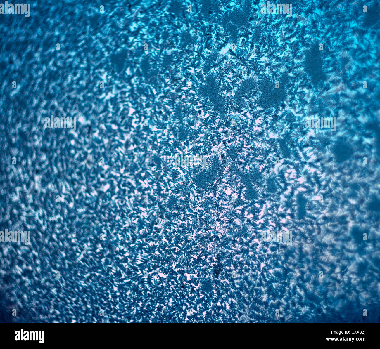beautiful pattern of frost Stock Photo - Alamy