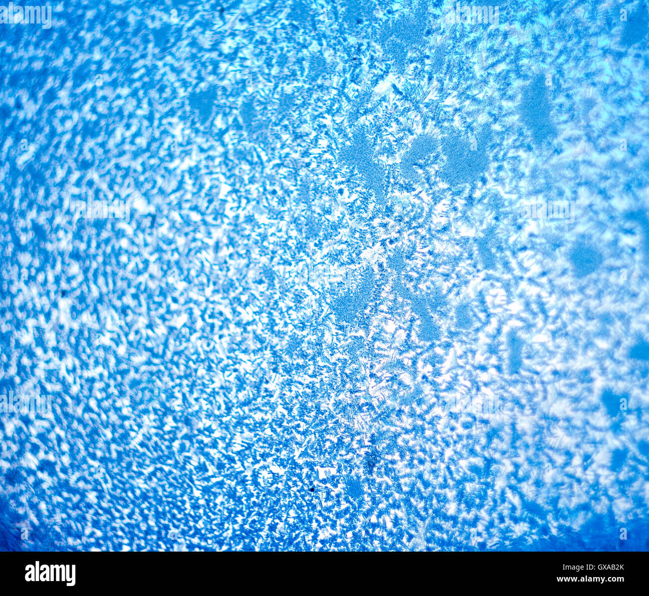 beautiful pattern of frost Stock Photo - Alamy
