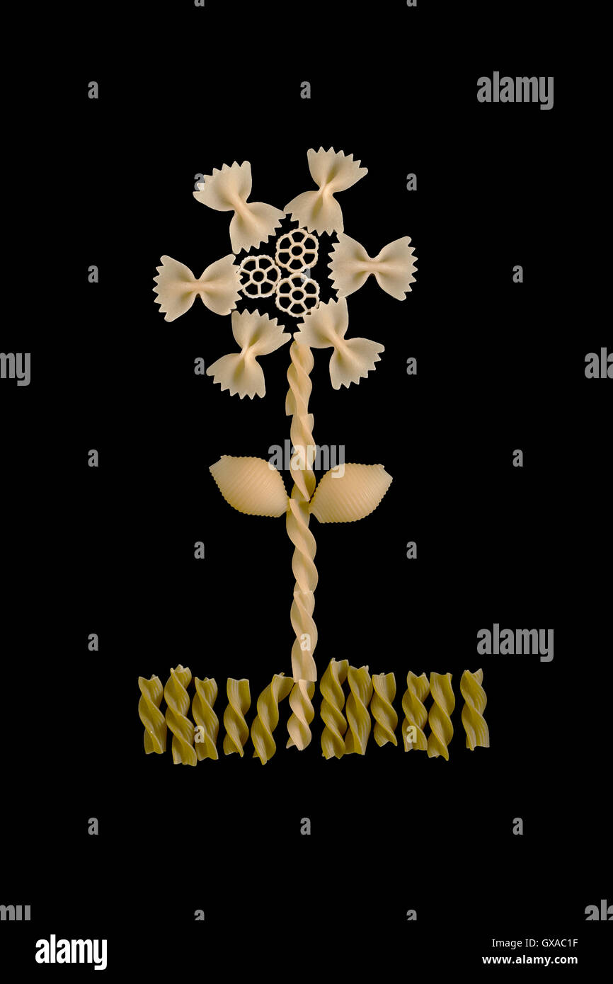 pasta in the form of a flower growing grass Stock Photo - Alamy